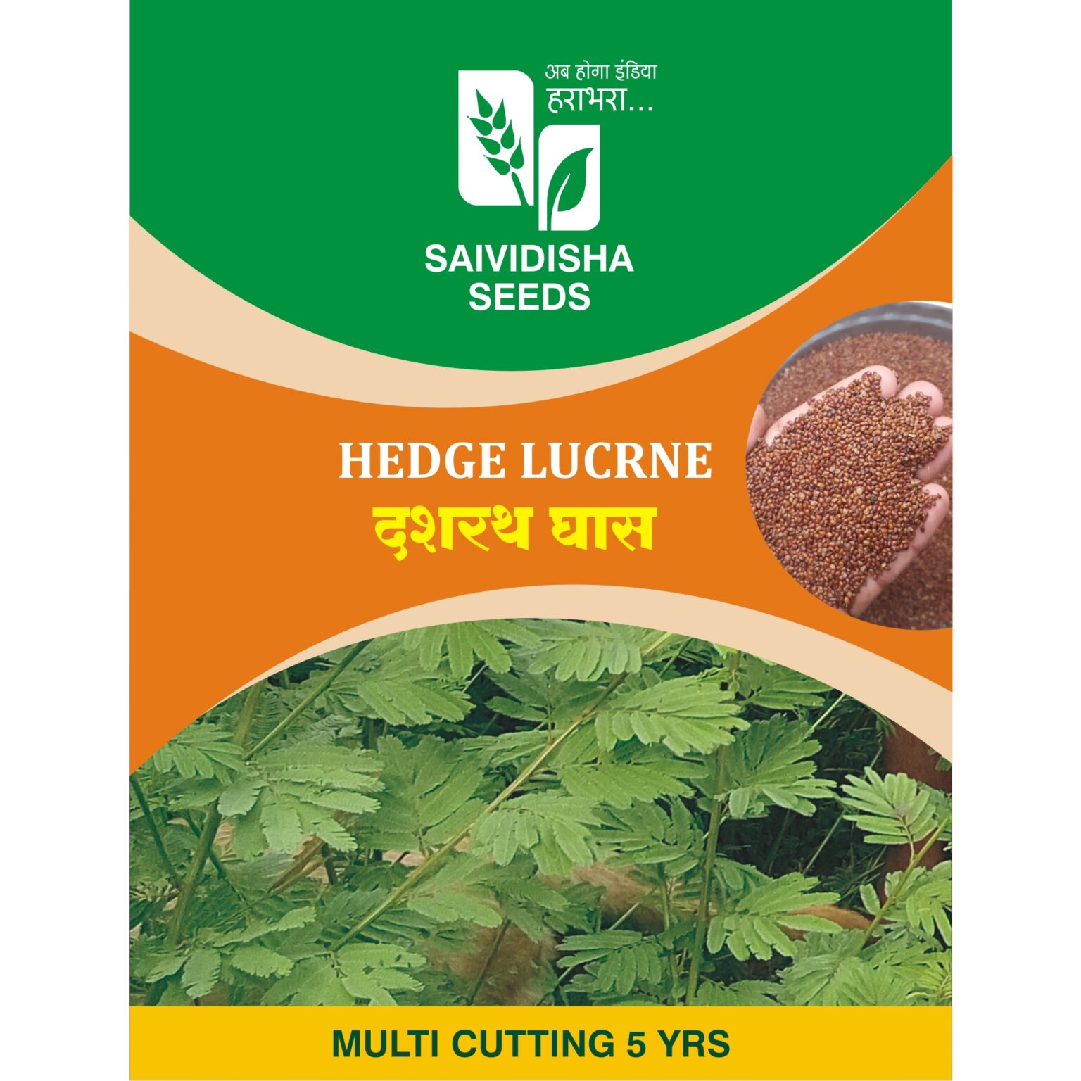 Hedge Lucerne / Dasharath Gavat (4-5 Years Multicutting) - SAIVIDISHA SEEDS