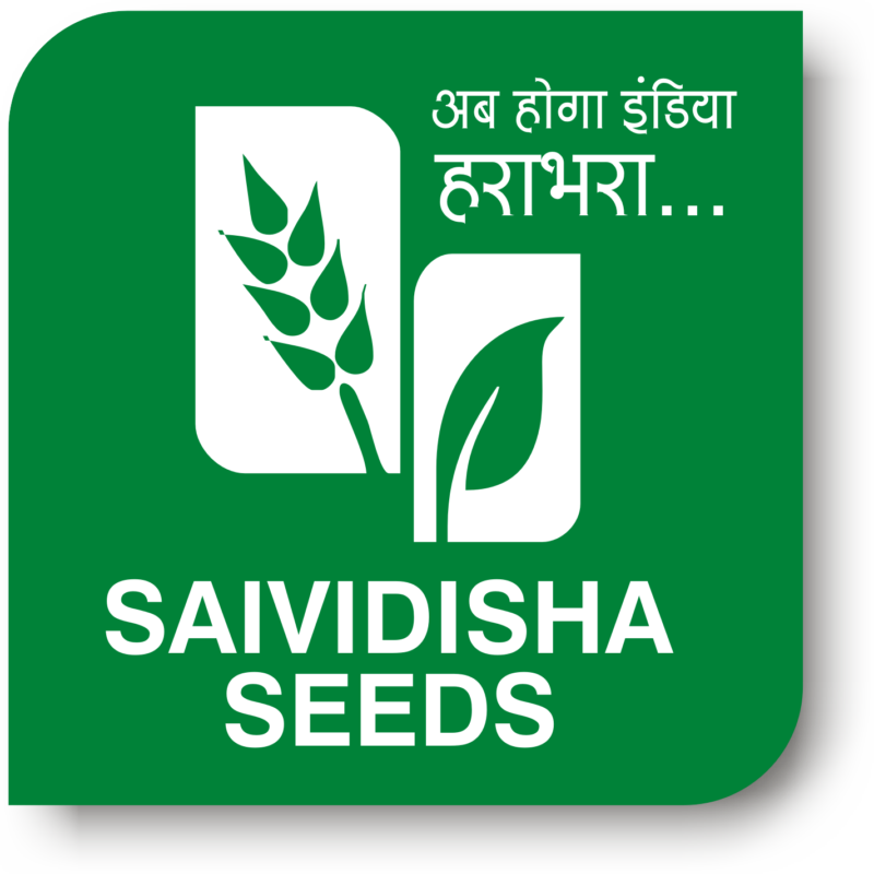 Taiwan Joint King Napier Grass - SAIVIDISHA SEEDS