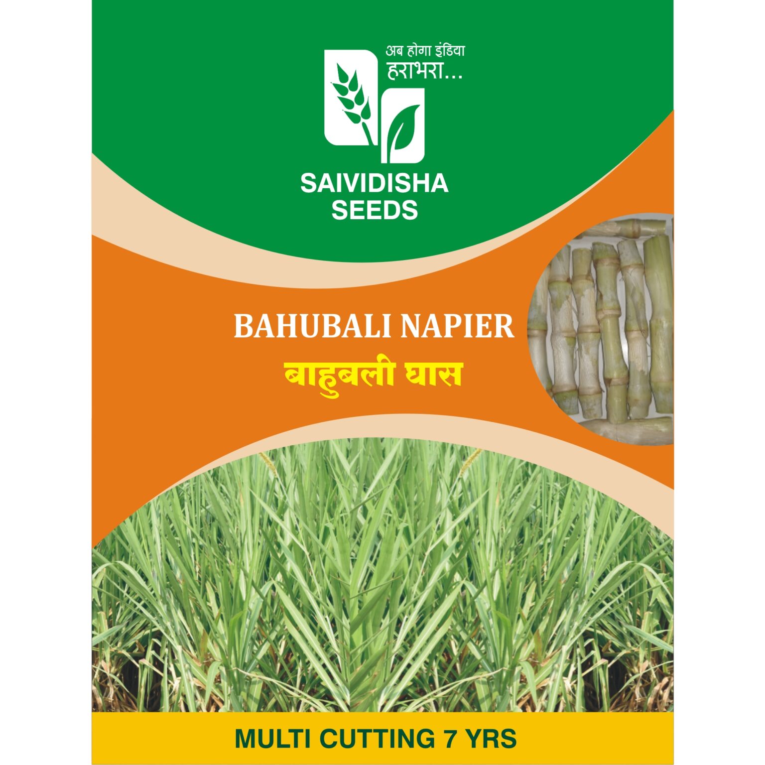 Green Fodder Seeds - SAIVIDISHA SEEDS