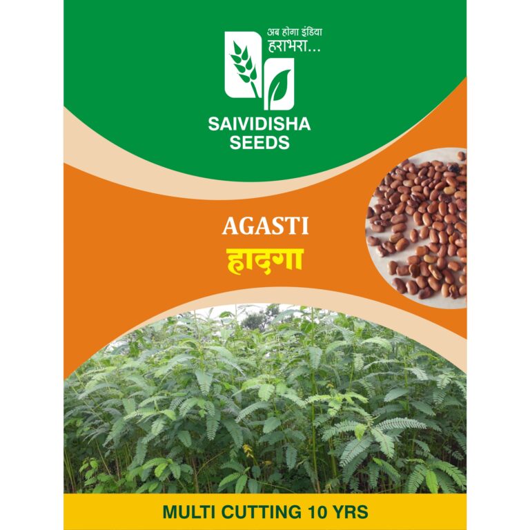 Green Fodder Seeds - SAIVIDISHA SEEDS