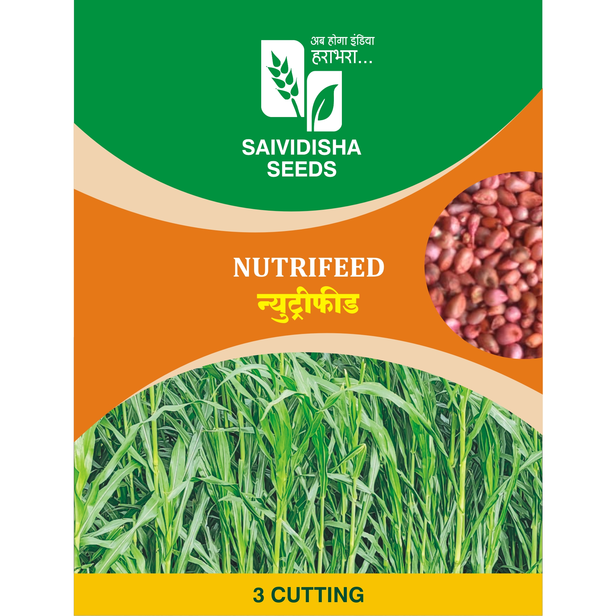 Green Fodder Seeds - SAIVIDISHA SEEDS