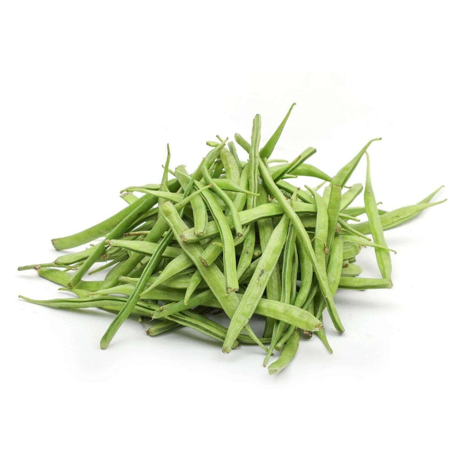 Cluster Bean / Gavar Seed’s - SAIVIDISHA SEEDS