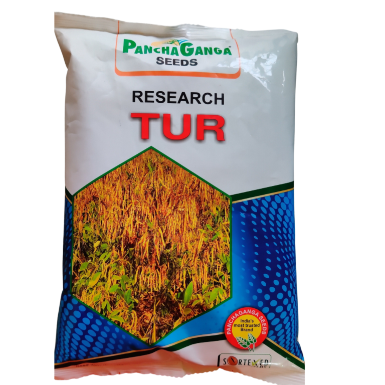 White Hybrid Toor - SAIVIDISHA SEEDS