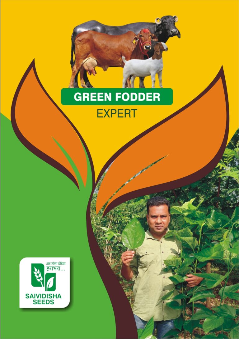 Sample Kit (Seeds ) - SAIVIDISHA SEEDS